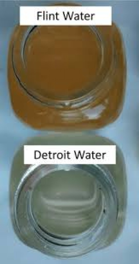 Flint vs detroit water | City Water Filter Corp.